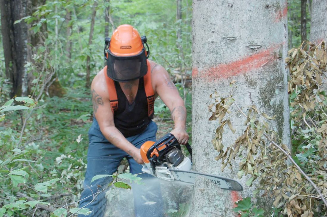 Menominee Nation traced every log for Bucks’ hardwood floor | News ...